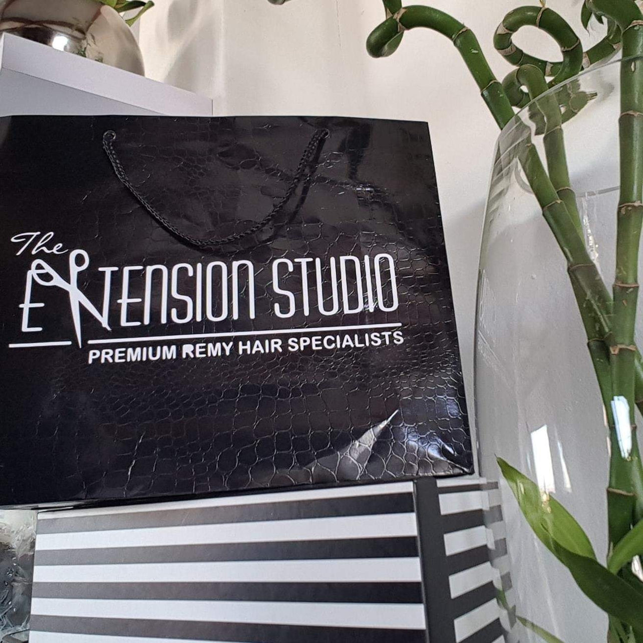 Contact Extension Studio - Get in Touch Now